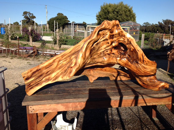 Handcrafted Tasmanian Wood Sculptures | Sculptured Gallery